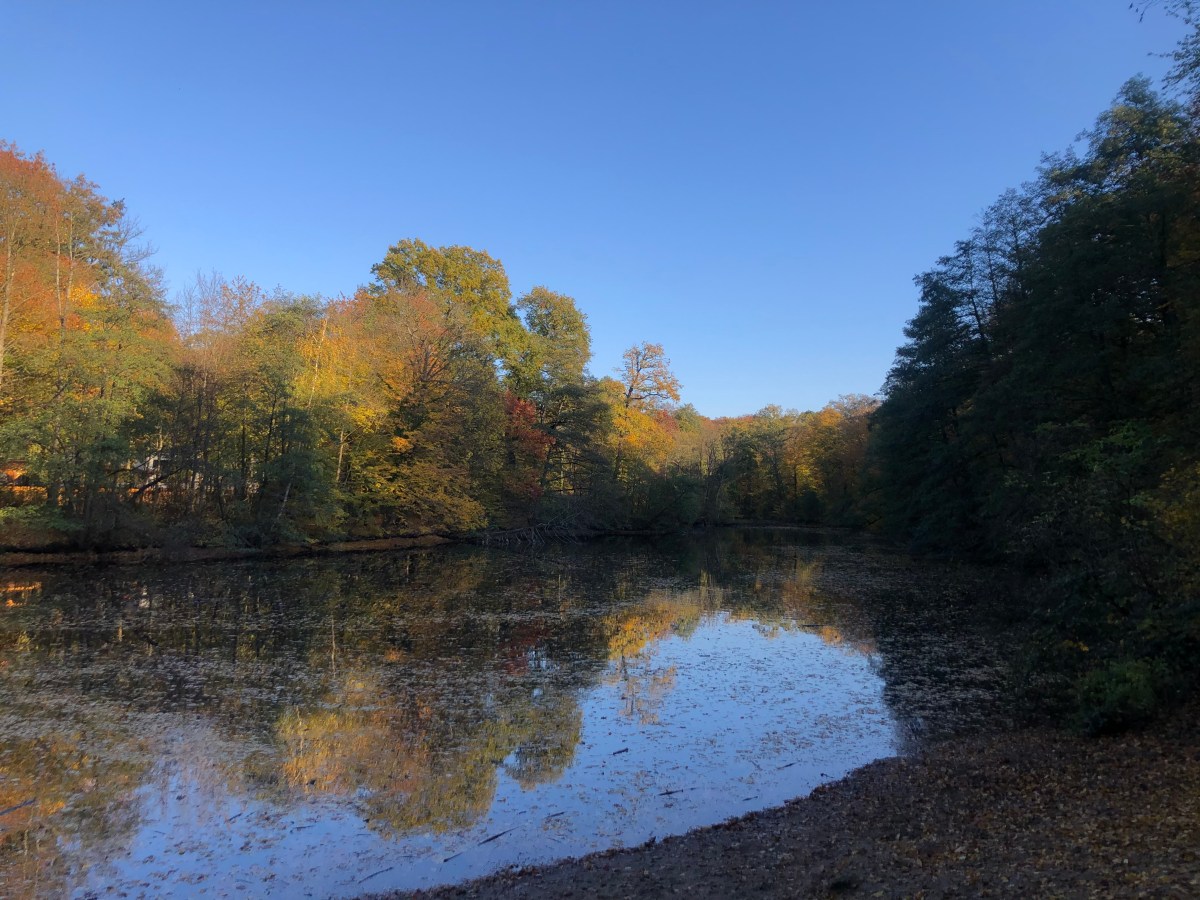 German word order – time, manner, place – Alisa Jordan Writes